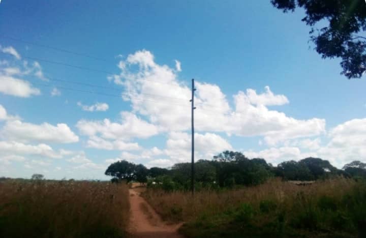 Invest in Zambia's Agricultural Future: Expansive 2000-Hectare Farm in ...